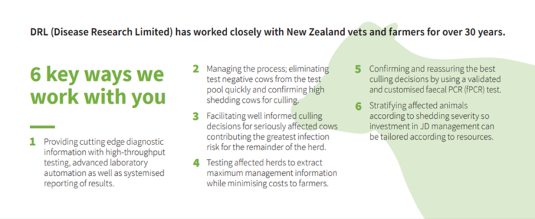 6 Key Ways We Work With You - DRL